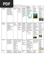 Tundra Alpina en México: Características y Ubicación | PDF | Ecosistema ...