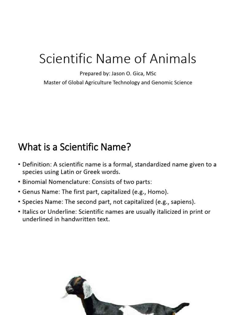 Scientific Names of Common Animals | PDF