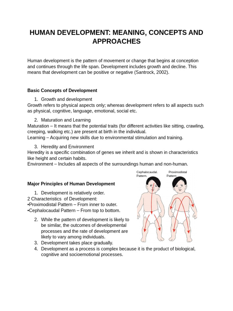 Human Development | PDF | Emotional Self Regulation | Learning
