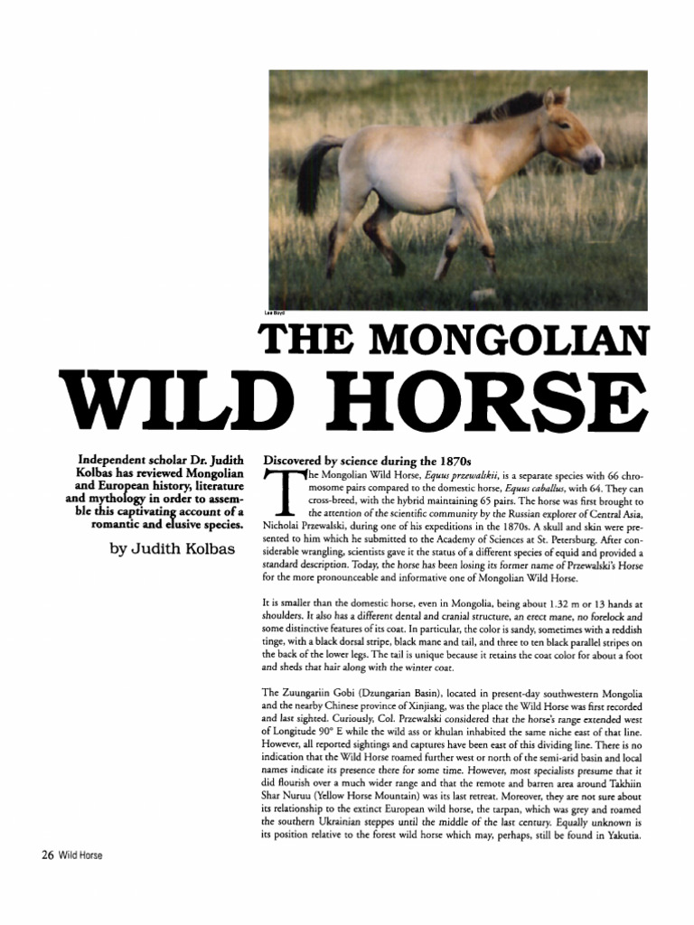 The Mongolian Wild Horse: History & Survival | PDF | Horses | Genghis Khan