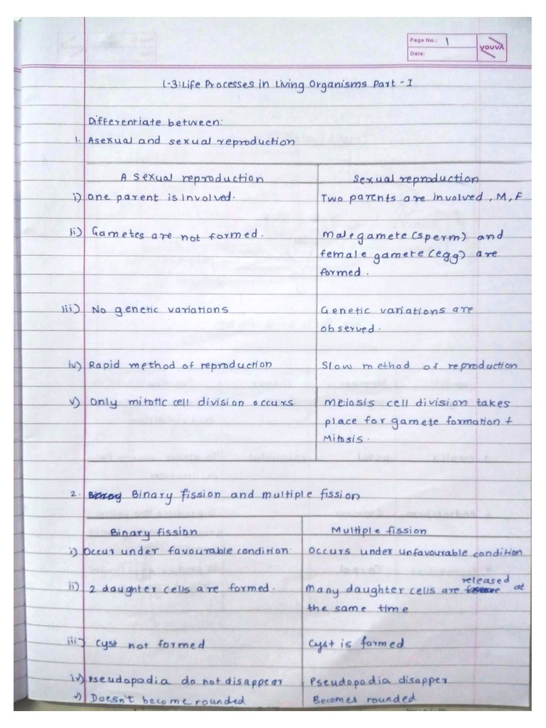 10 SC 2, Life Process in Living Organism | PDF