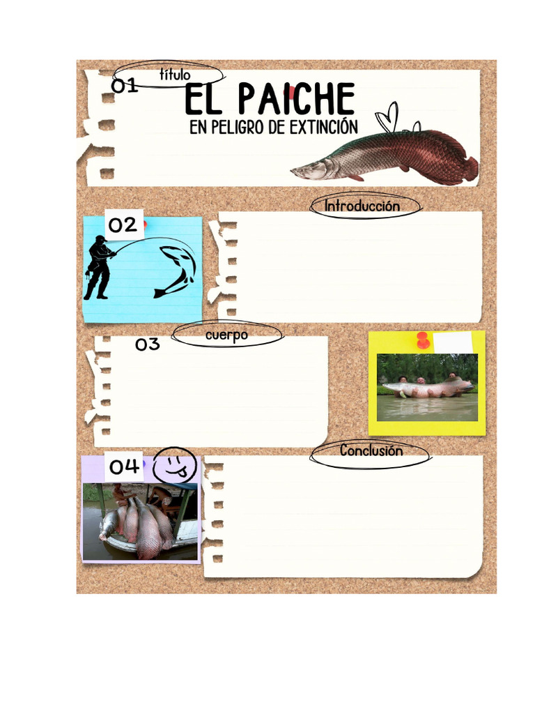 Titulo Informativos | PDF