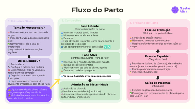 20241202-1125-Fluxo de Parto | PDF | Parto | Especialidades médicas