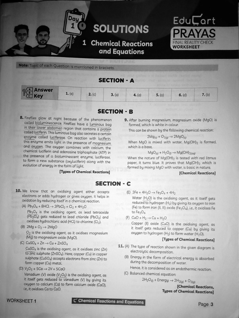 Prayas Solutions Chapter 1 | PDF