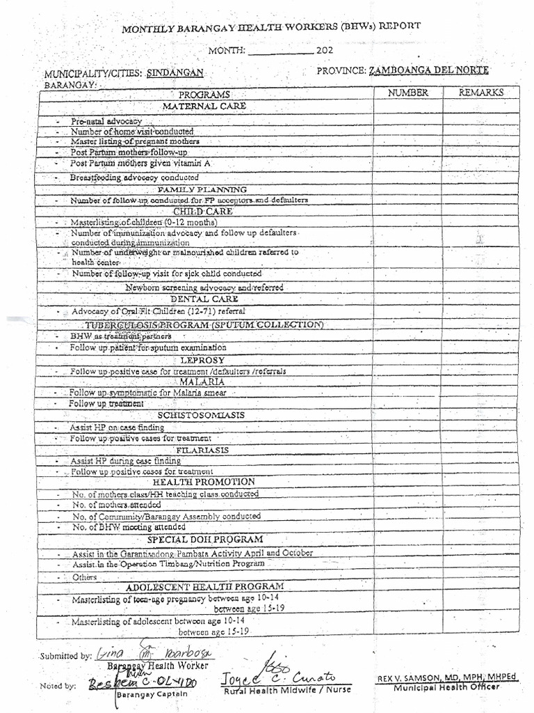 BHW Monthly Report | PDF