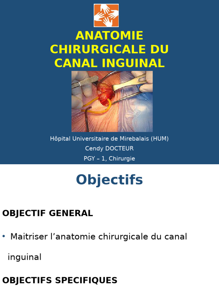Anatomie du canal inguinal féminin | PDF | Anatomie humaine