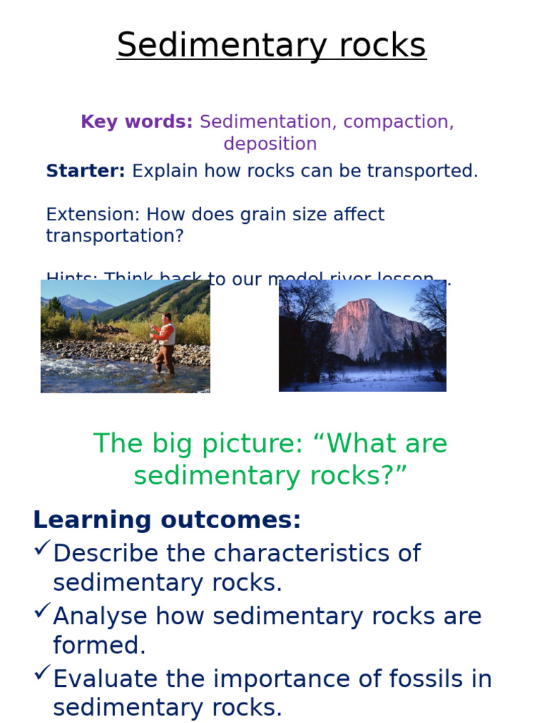 Sedimentary Rocks for Students | PDF