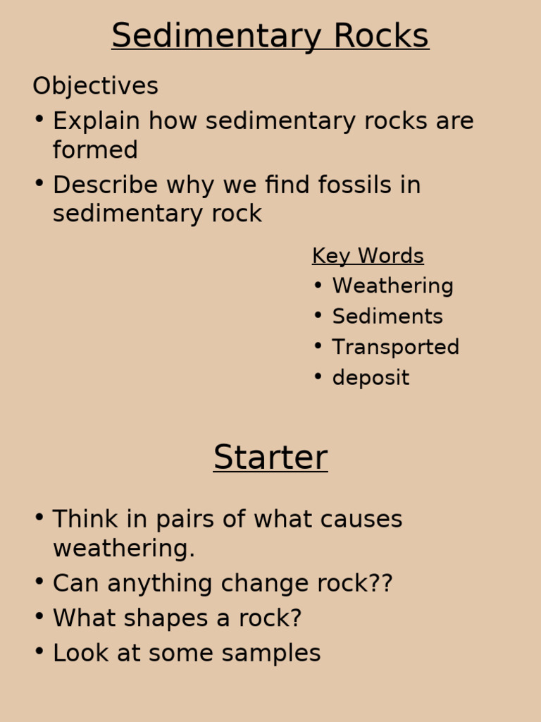 How Sedimentary Rocks and Fossils Form | PDF