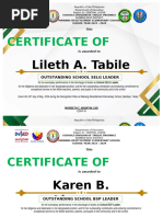 Inset 2024-Certificate | PDF