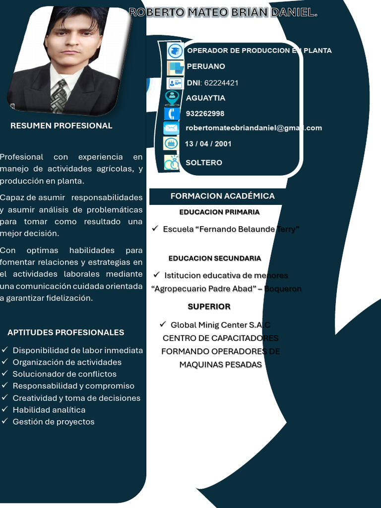 CV Brian Daniel Suares Mateo 2025 PDF 2 | PDF