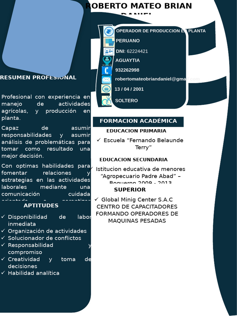 CV Brian Daniel Suares Mateo 2025 | PDF