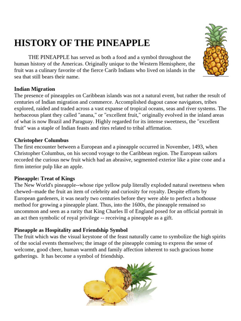History of The Pineapple | PDF