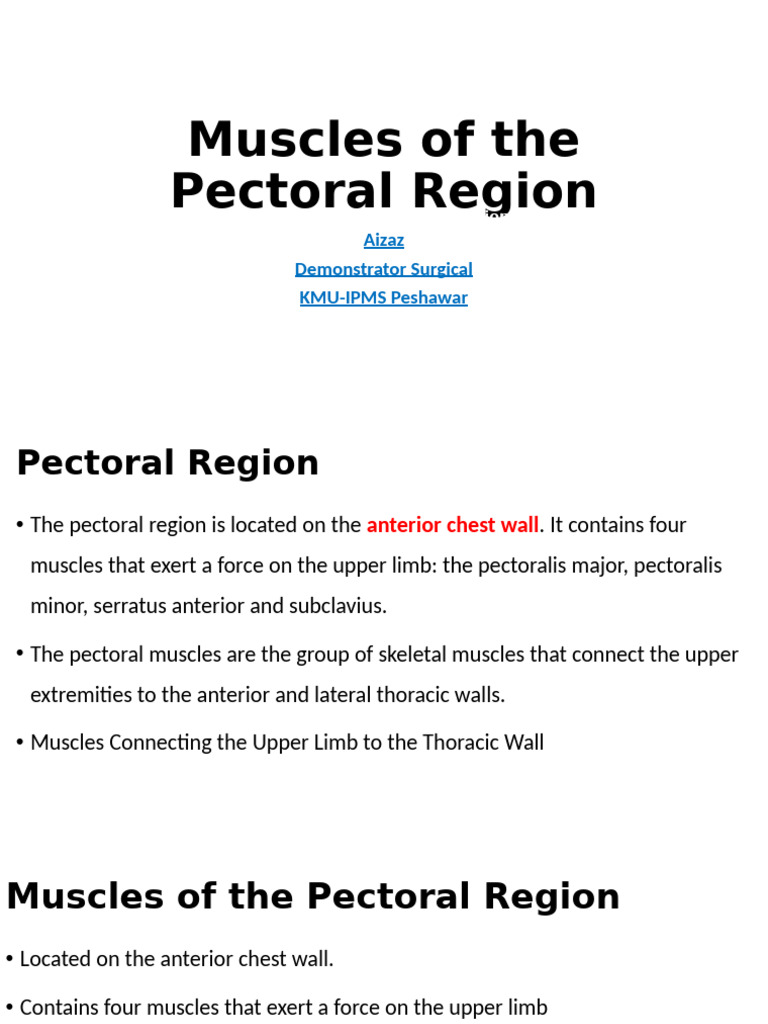 16 Muscle Pectoral of Region | PDF | Thorax | Limbs (Anatomy)