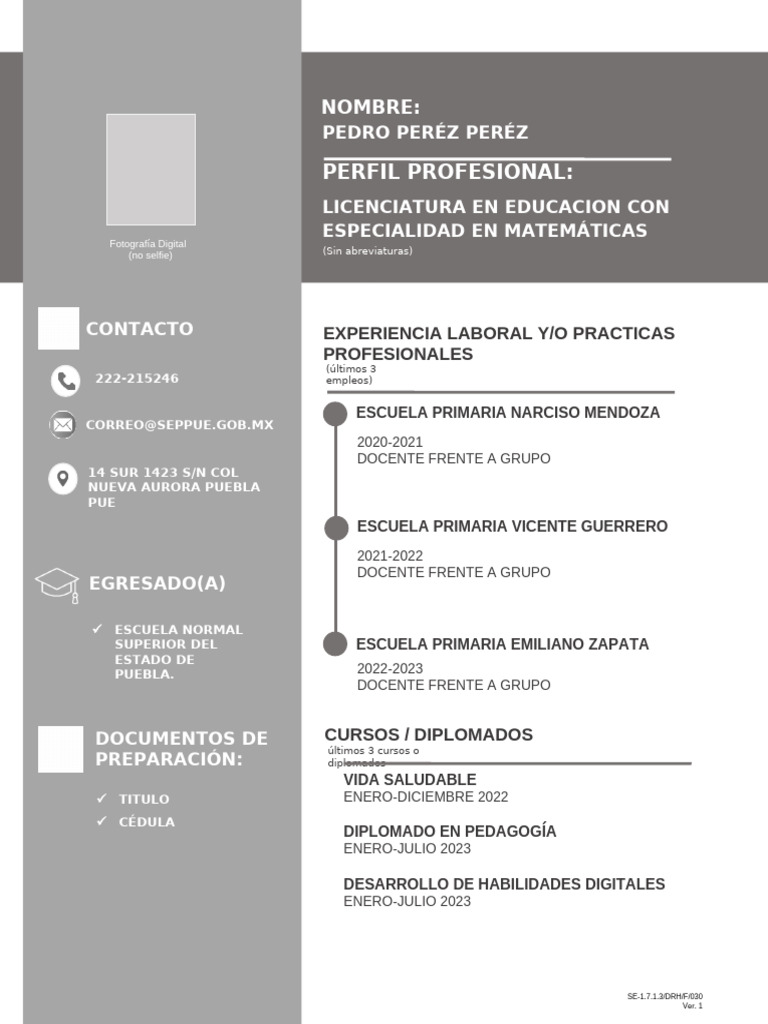 Formato Curriculum Vitae | PDF