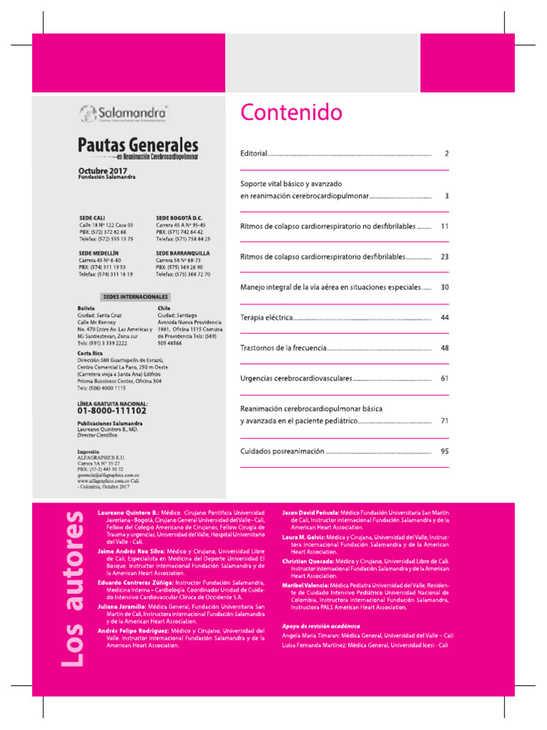 Compendio de Pautas | PDF