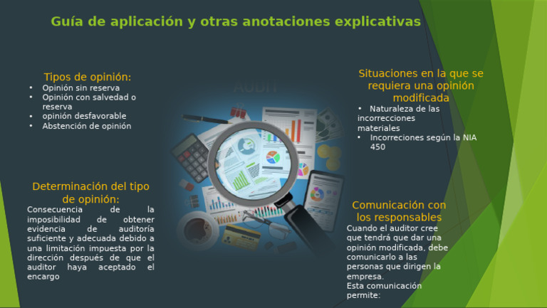 Guía de Aplicación y Otras Anotaciones Explicativas | PDF
