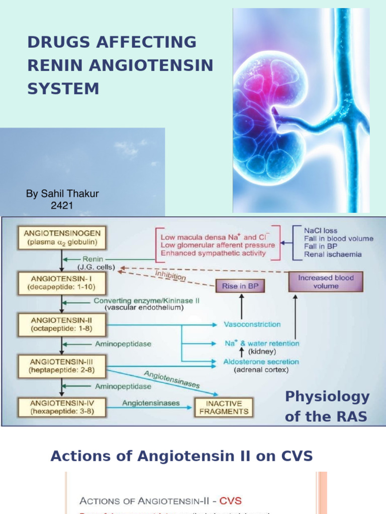 Ras | PDF | Angiotensin | Drugs
