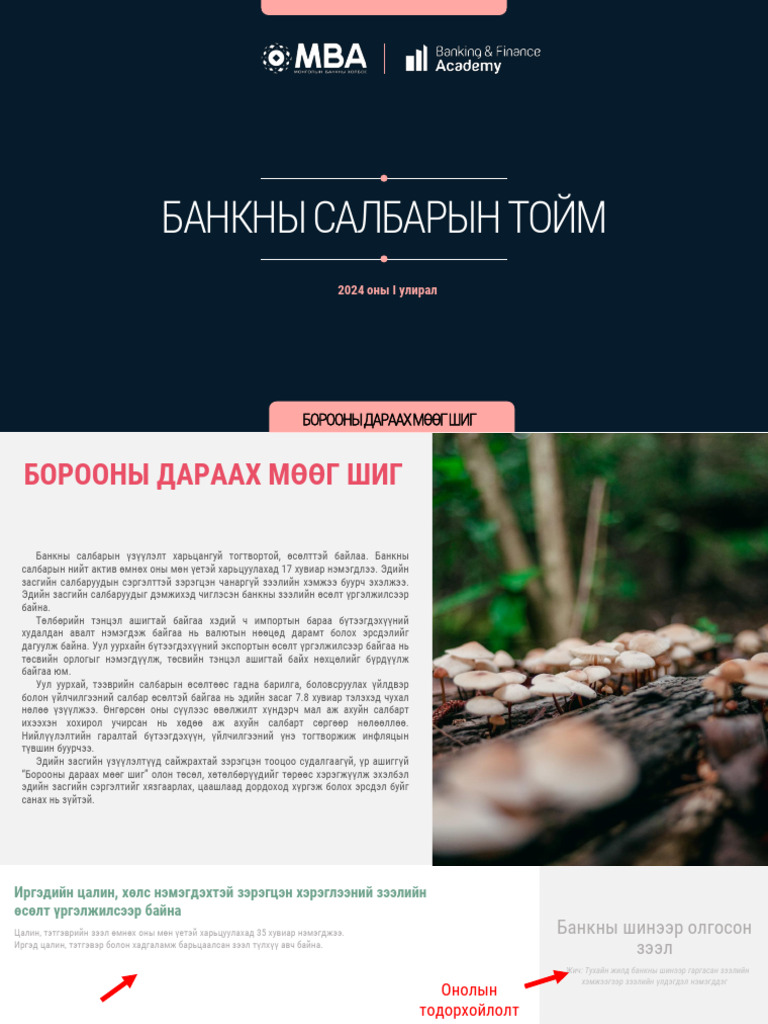 2024Q1-MNG-final | PDF