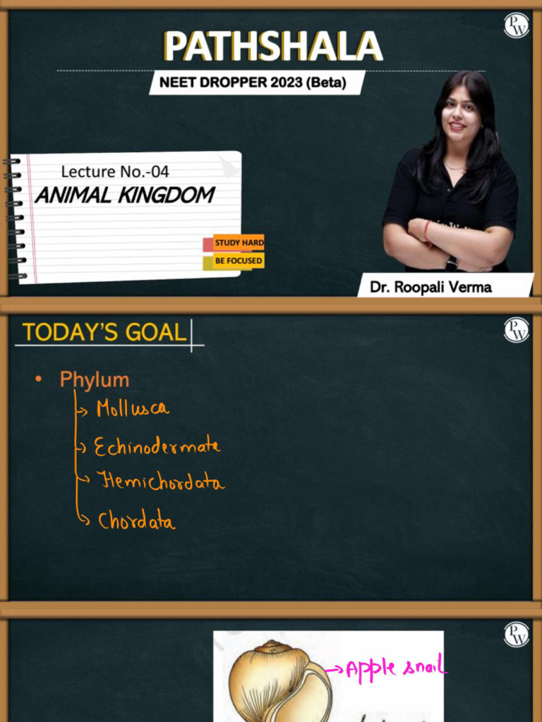 4)Animal Kingdom - 04 Class Notes II (Pathshala NEET Dropper Beta 2023 ...
