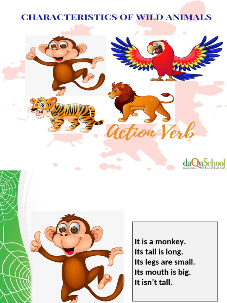 Characteristics Animals | PDF