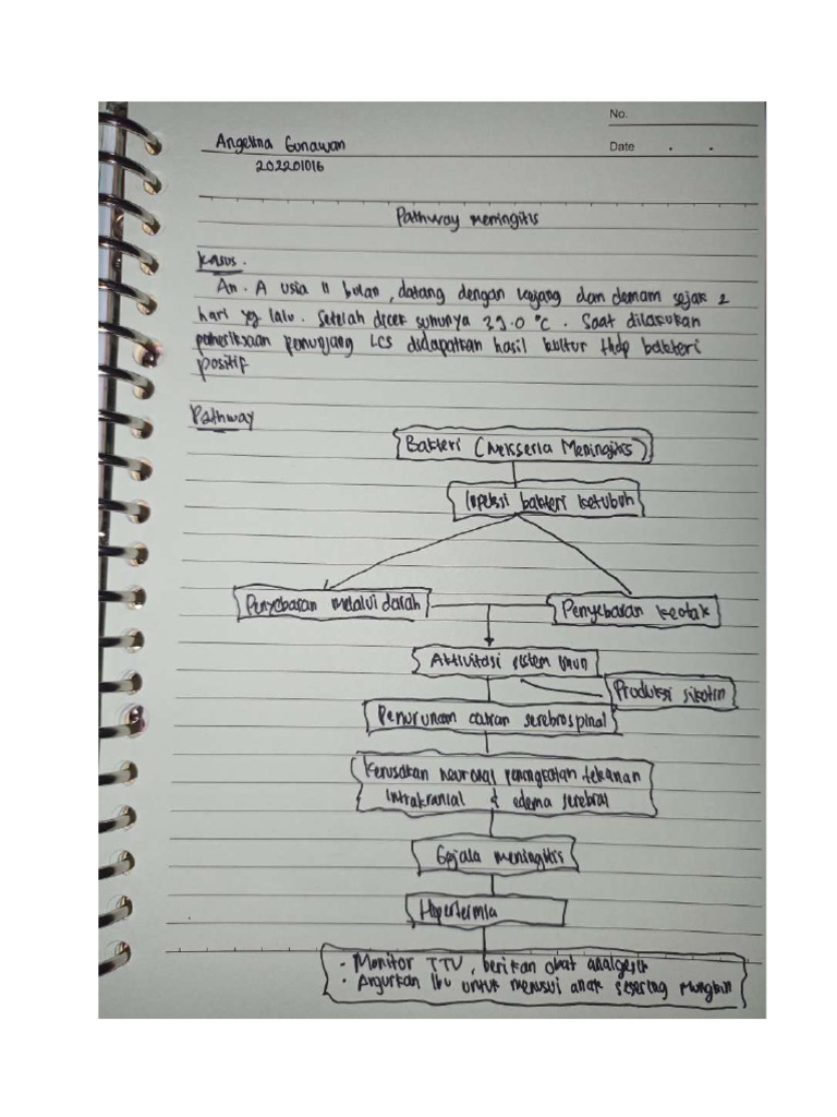 Angel (Pathway Meningitis) | PDF