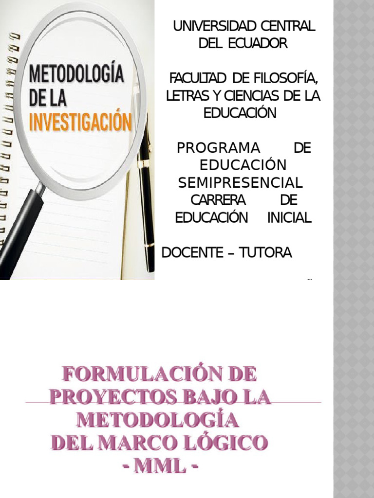 Metodologia Del Marco Logico | PDF
