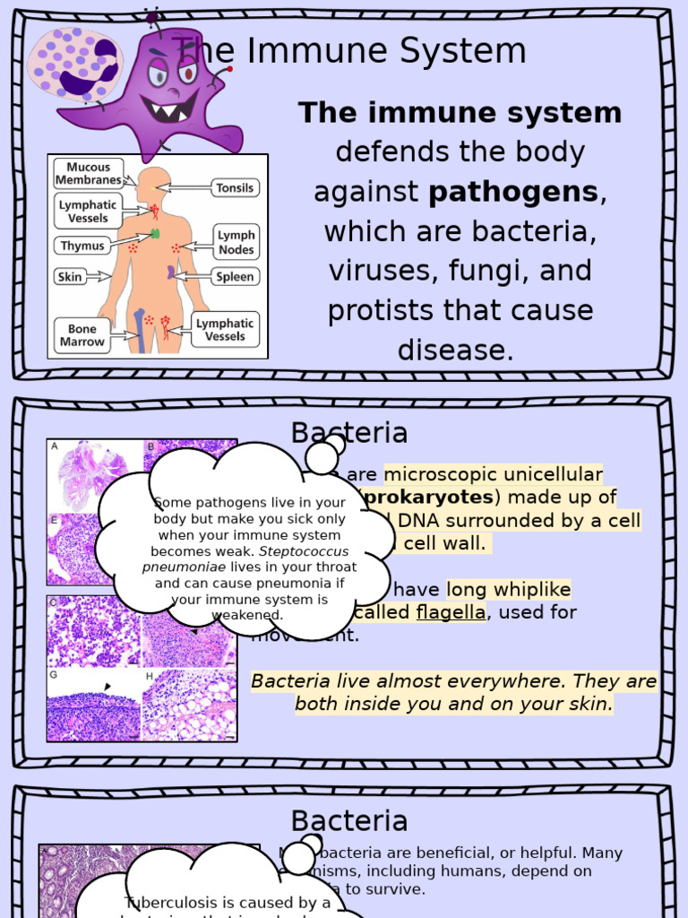 Understanding Your Immune System | PDF | Bacteria | Virus