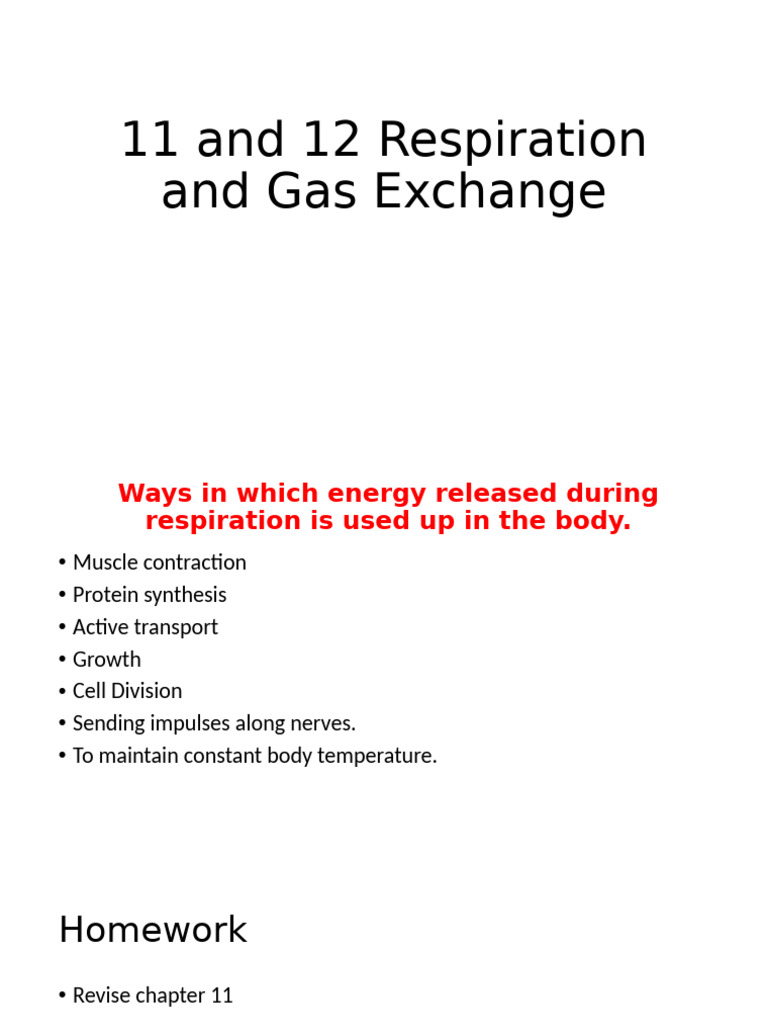 11 and 12 Respiration and Gas Exchange | PDF | Breathing | Cellular ...