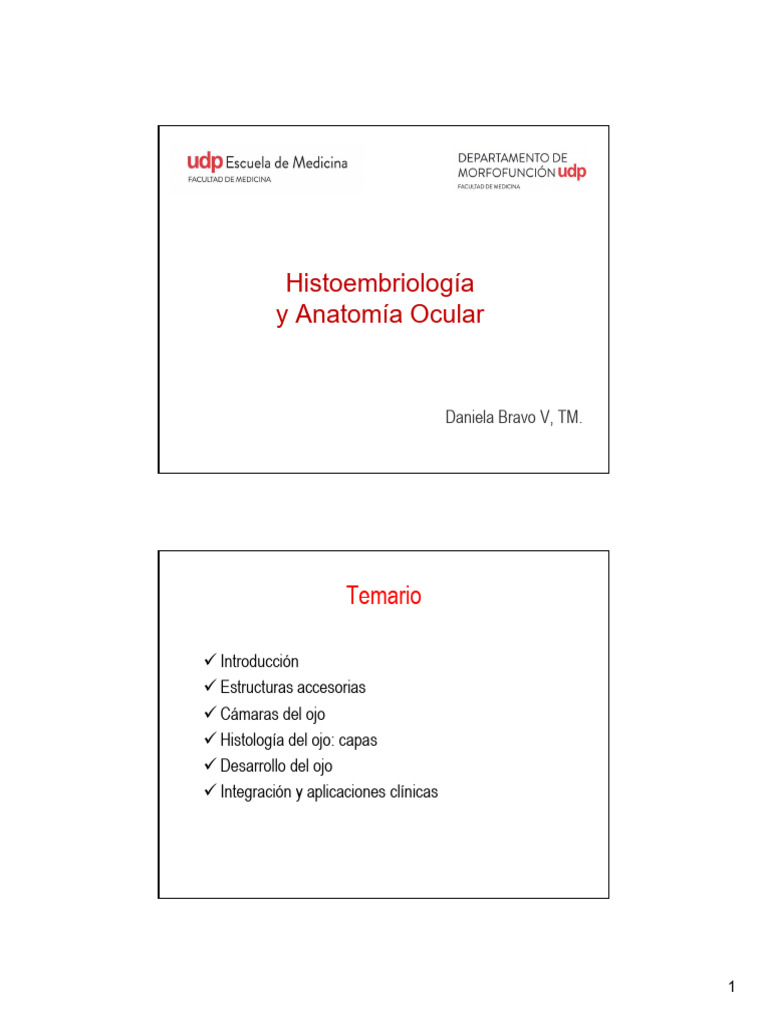 Clase Anatomía e Histoembriología Del Ojo | PDF | Epitelio | Ojo