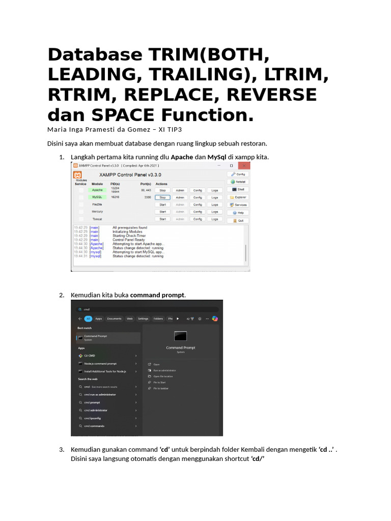 Maria Inga - TIP3 | PDF