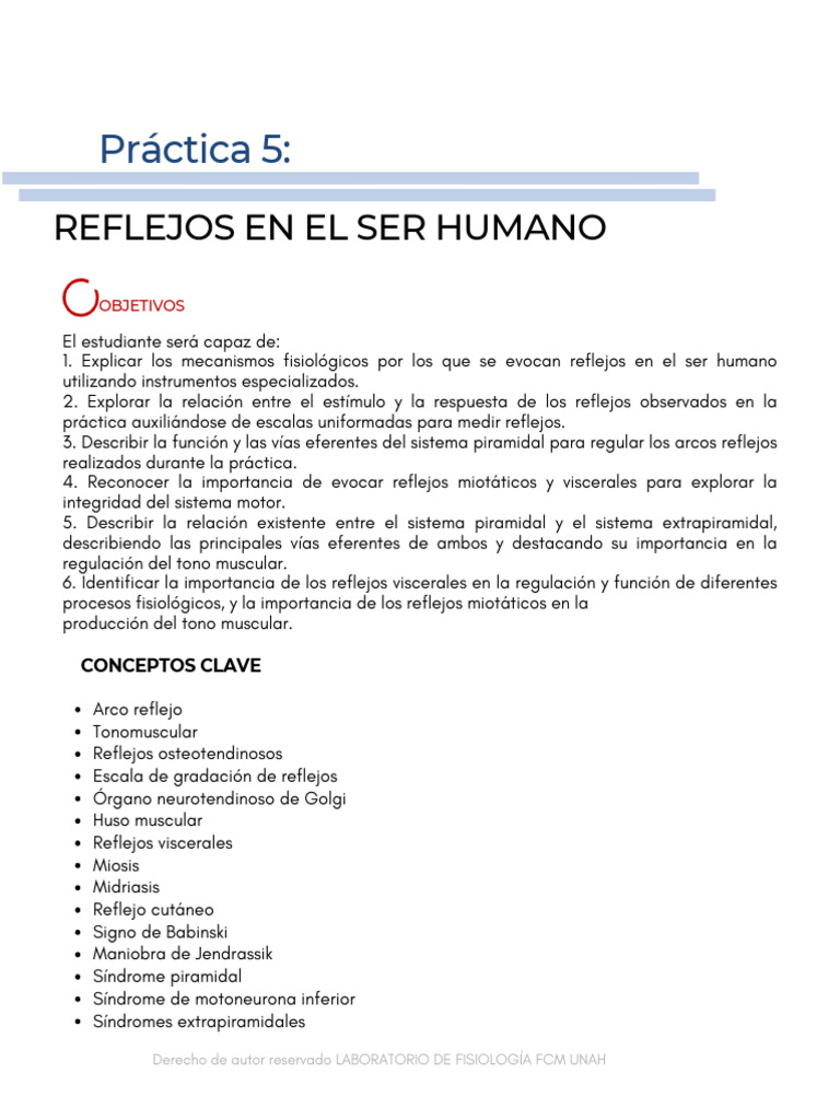 Reflejos en El Ser Humano | PDF | Anatomía humana | Neuroanatomía