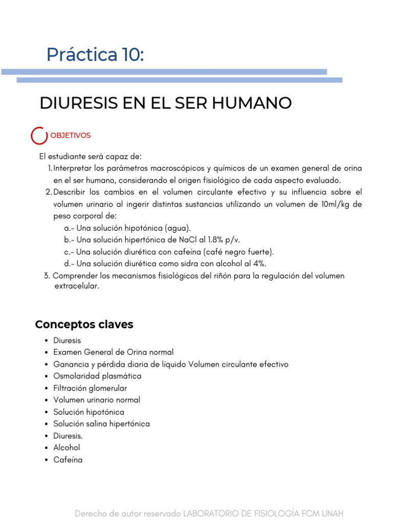 Análisis del Examen de Orina y Diuresis | PDF | Riñón | Sistema urinario
