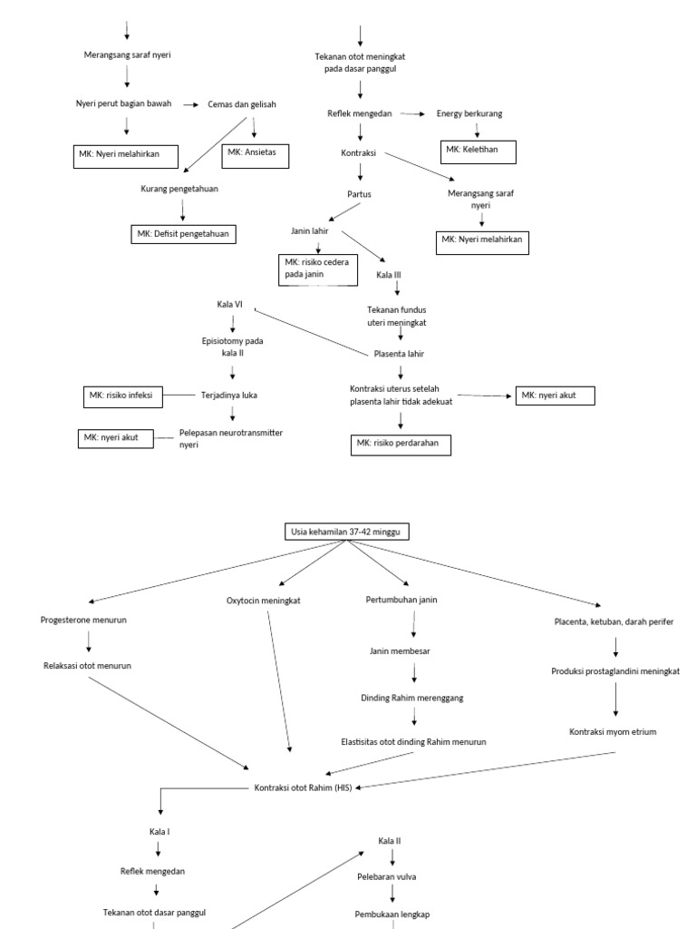 Patway Persalinan Normal 2 | PDF