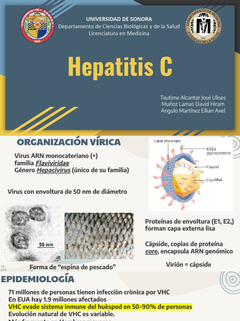 Hepatitis C: Epidemiología y Tratamiento | PDF | Virus de la hepatitis ...