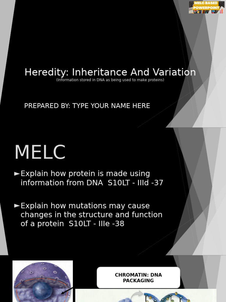 G10 Science Q3 - Week 4-How Protein Is Made-Using-DNA-Information | PDF ...