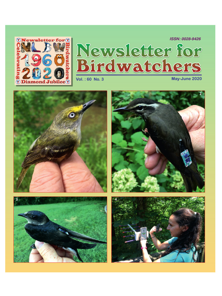 Research Paper 3 | PDF | Birds | Biodiversity