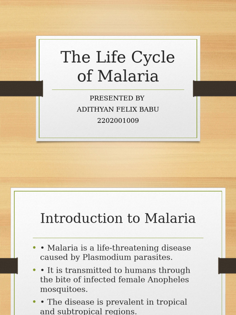 Malaria Life Cycle Overview | PDF | Malaria | Plasmodium