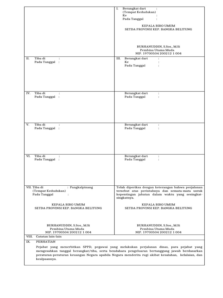 Visum SPPD Protokol Fiks | PDF