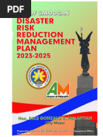 Mdrrmo Plan | PDF | Emergency Management | Disaster Risk Reduction