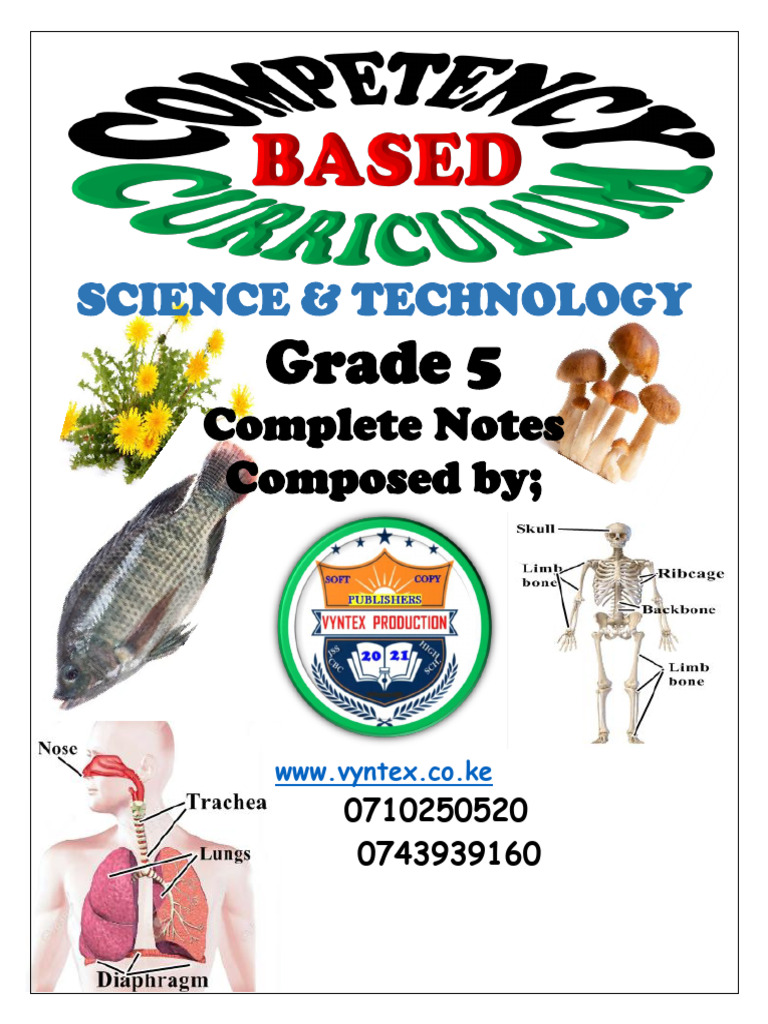 Grade 5 Science & Technology Notes | PDF | Amphibian | Plants