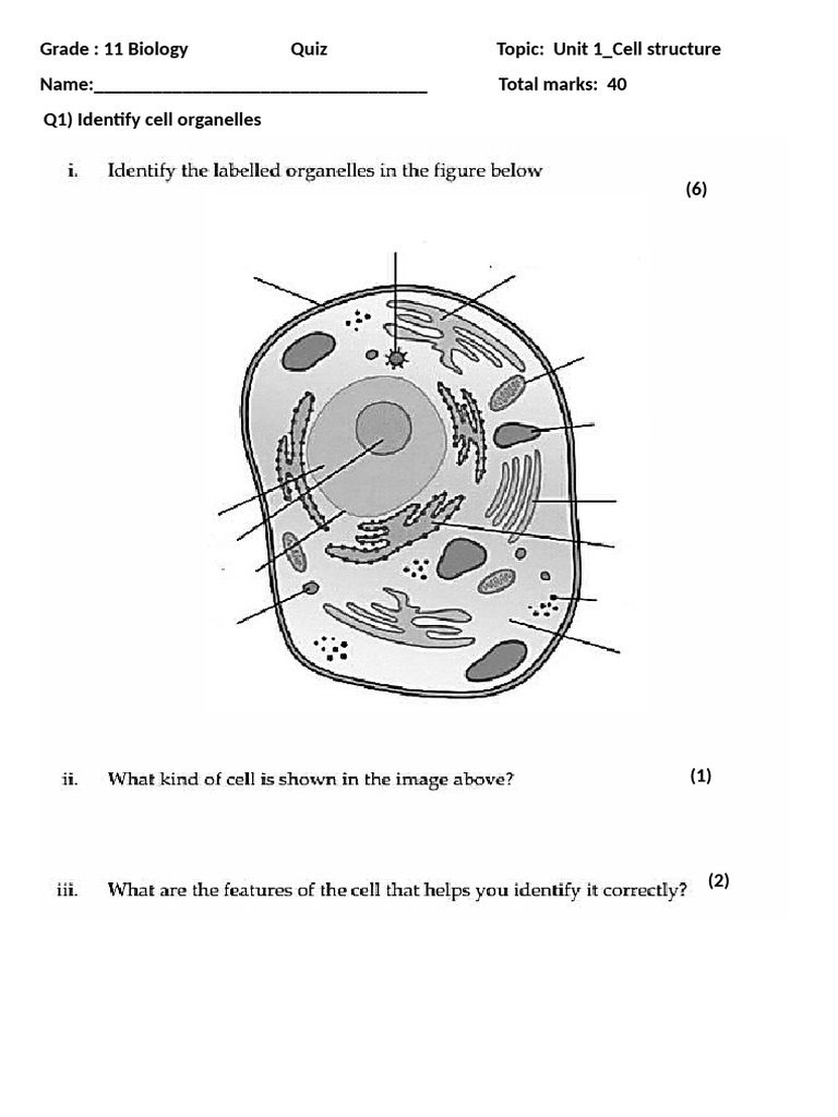 11 AS _Biology _quiz_cell structure | PDF