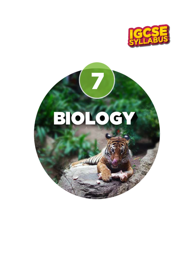 Revised Biology G7 | PDF | Stoma | Leaf