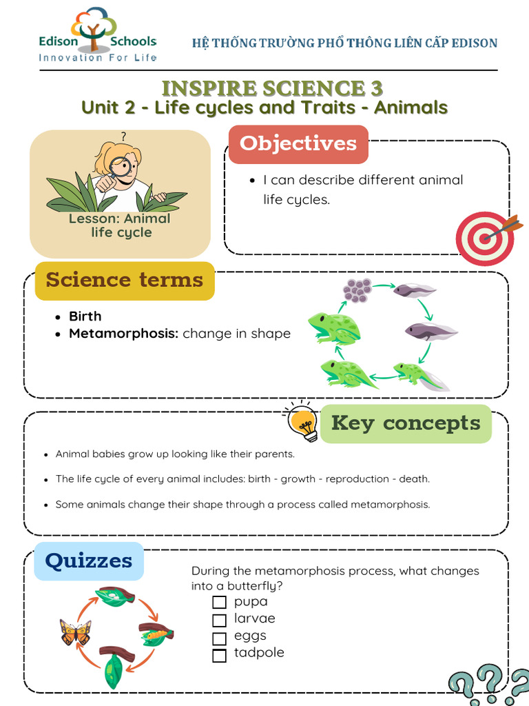G3-U2-L1 Animal Life Cycle | PDF