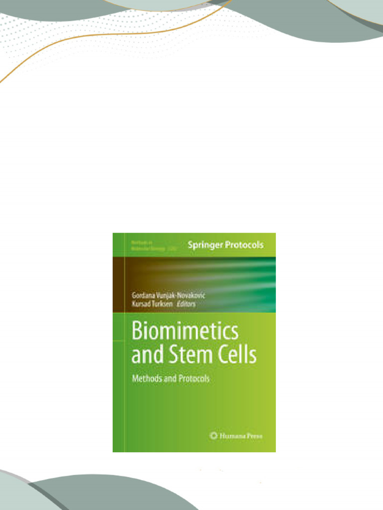 9860148 | PDF | Tissue Engineering | Cell Potency