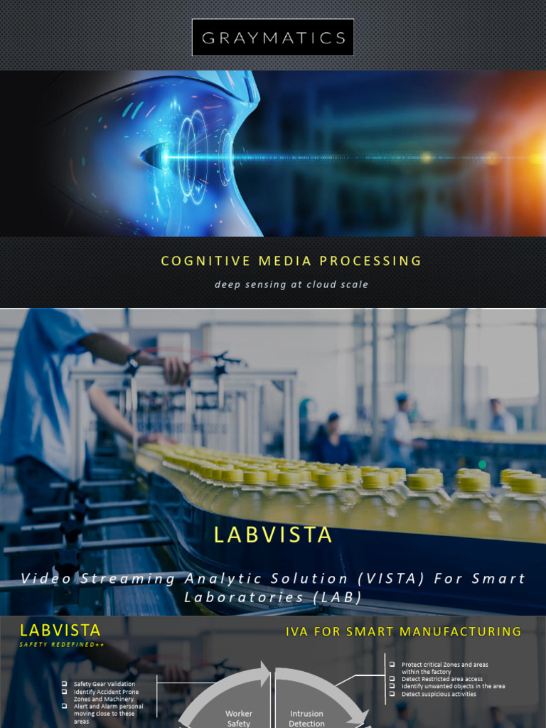 Graymatics_LabVista | PDF | Artificial Intelligence | Intelligence (AI) & Semantics