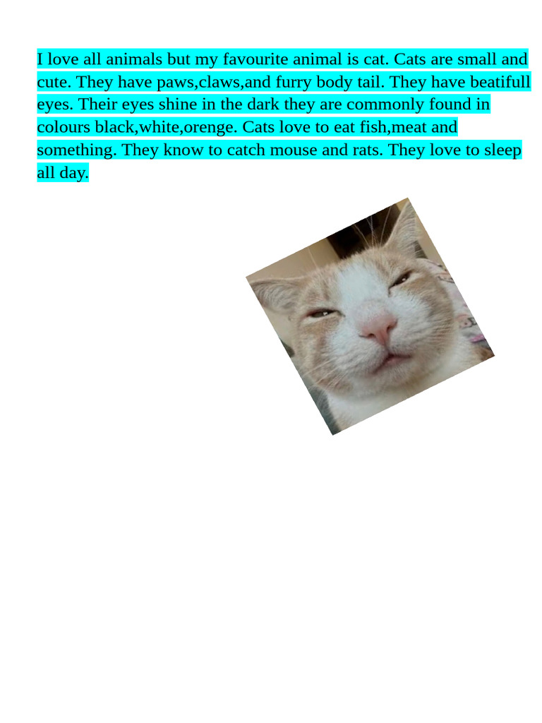 Caring for Cats: Tips and Stories | PDF
