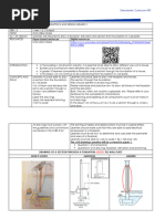 EGD Grade 10 Term 4 Week 4 | PDF | Drawing | Technical Drawing