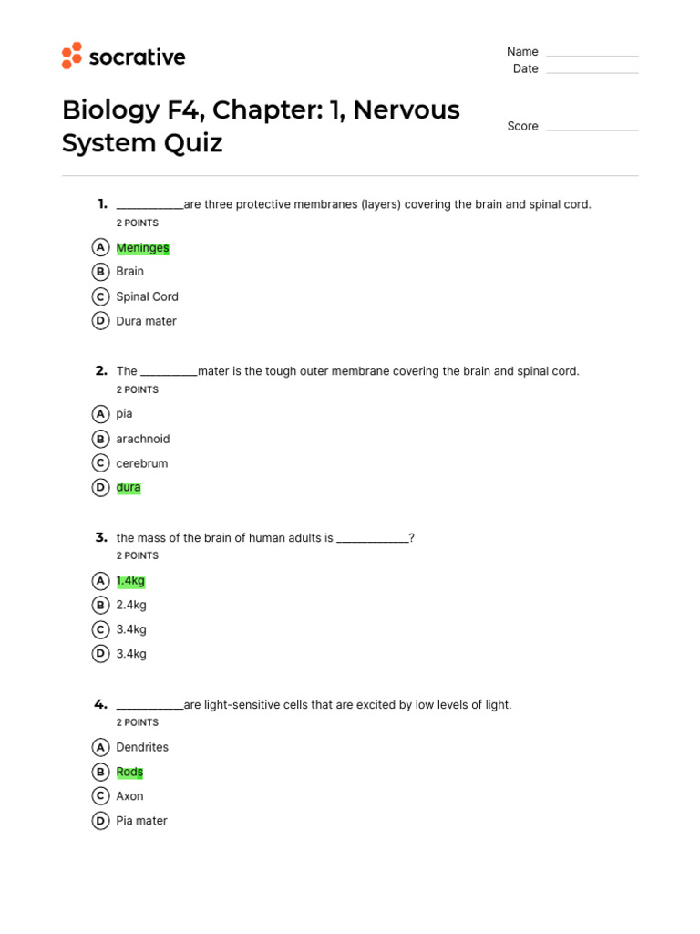 Quiz - Biology F4 Chapter 1 Nervous System Quiz Answers | PDF | Brain ...