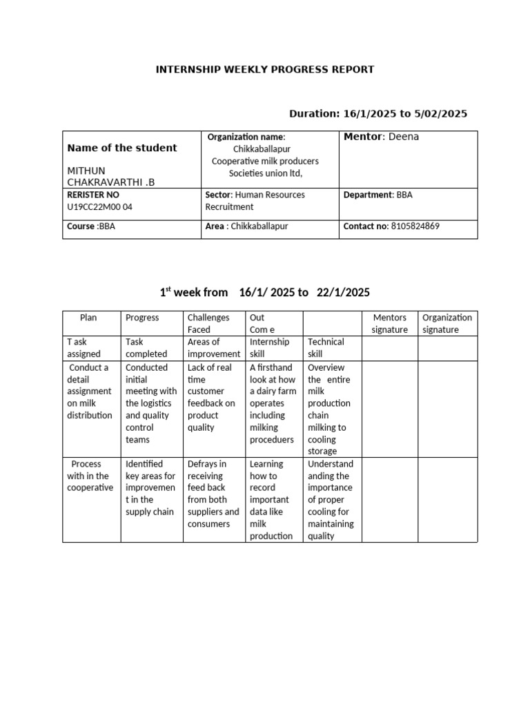 Internship Weekly Progress Template M7i | PDF | Skill | Recruitment