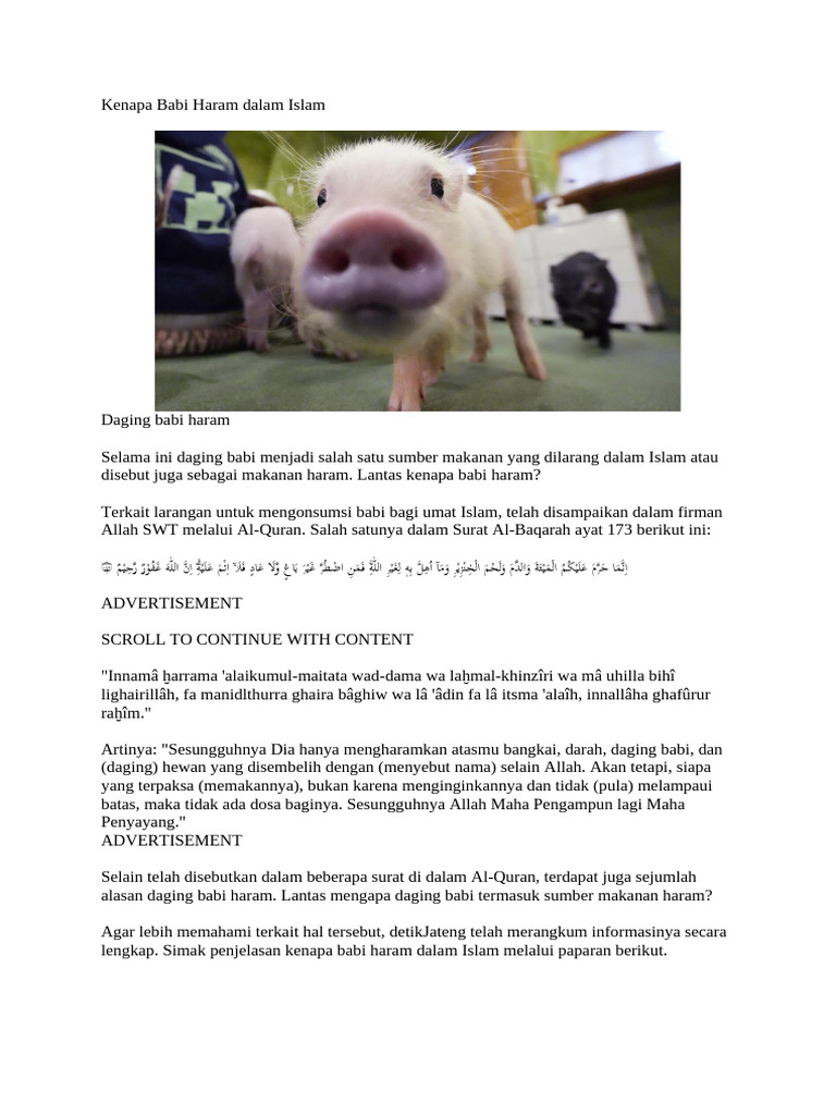 Kenapa Babi Haram dalam Islam | PDF